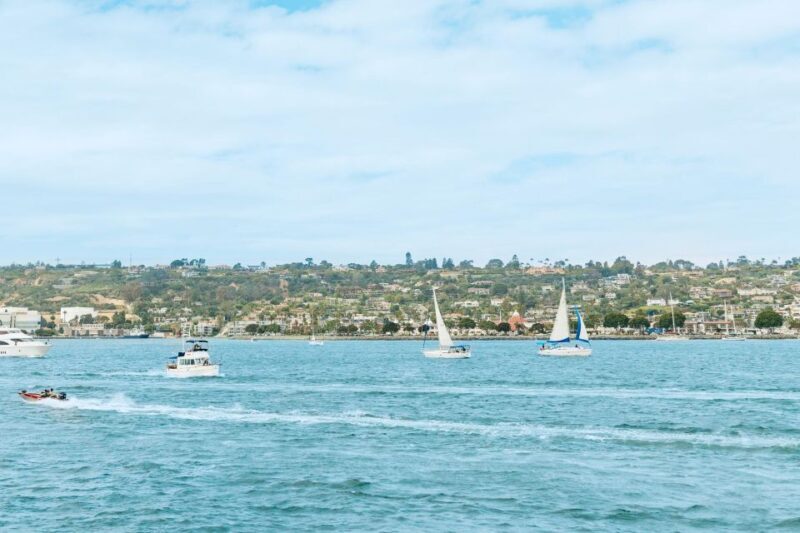 San Diego: Whale and Dolphin Watching Cruise - FAQs