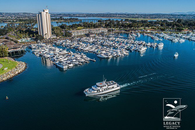 San Diego Whale Watching 3 Hour Tour Mission Bay on the Legacy - The Experience: What to Expect from the 3-Hour Tour