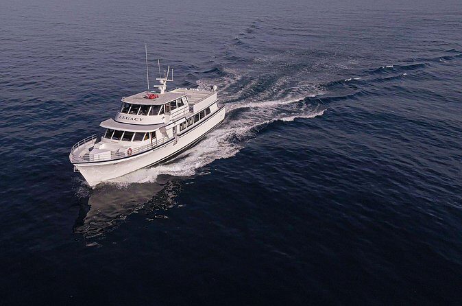 San Diego Whale Watching 3 Hour Tour Mission Bay on the Legacy - The Practicalities: What Matters for Travelers