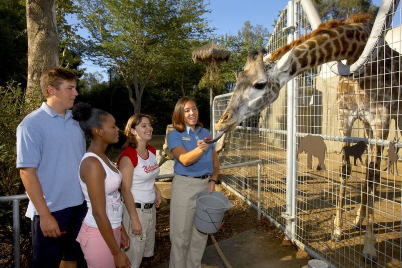 San Diego Zoo: 1-Day Admission Ticket - The Cost and Its Value