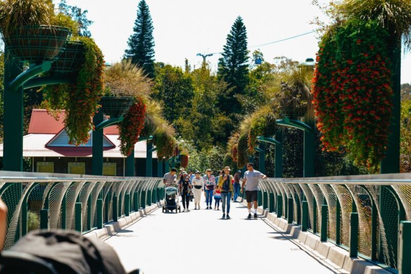San Diego Zoo: 1-Day Admission Ticket - The Sum Up