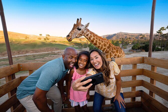 San Diego Zoo Safari Park 1-Day Pass: Any Day Ticket - The Ticket & Its Value