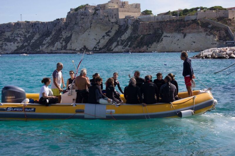 San Domino, Tremiti: guided snorkeling tour - Why This Tour Might Be Perfect for You