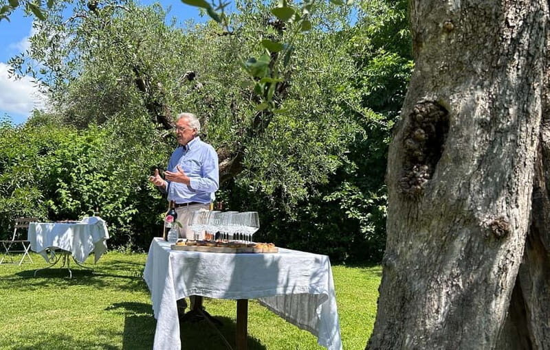 San Felice del Benaco: Vineyard Tour with Wine Tasting - Final Thoughts: Is It Worth It?