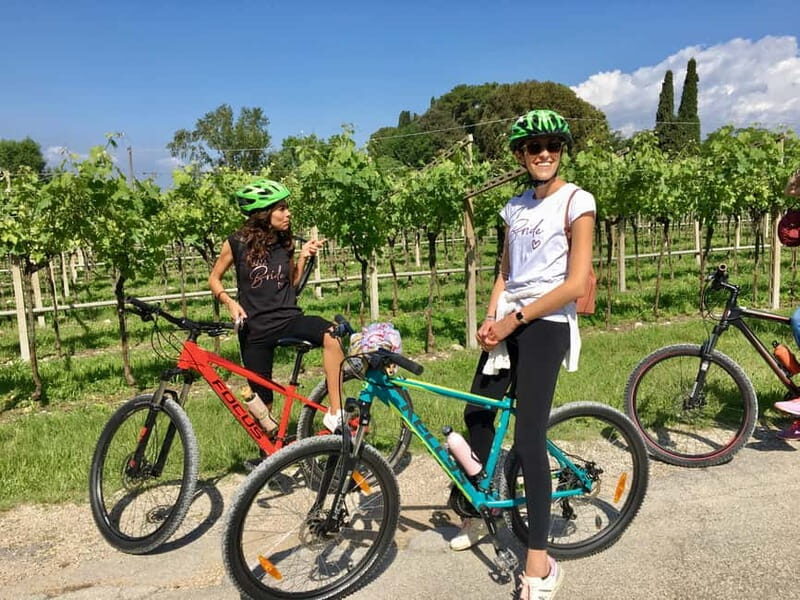 San Felice: E-bike tour and Olive Oil Tasting with food - Key Points