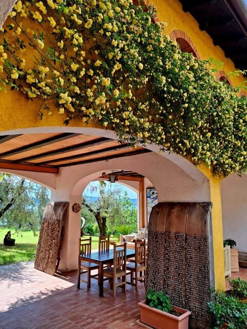 San Felice: Olive Oil Tasting with local food on Garda Hills - Paired Local Foods