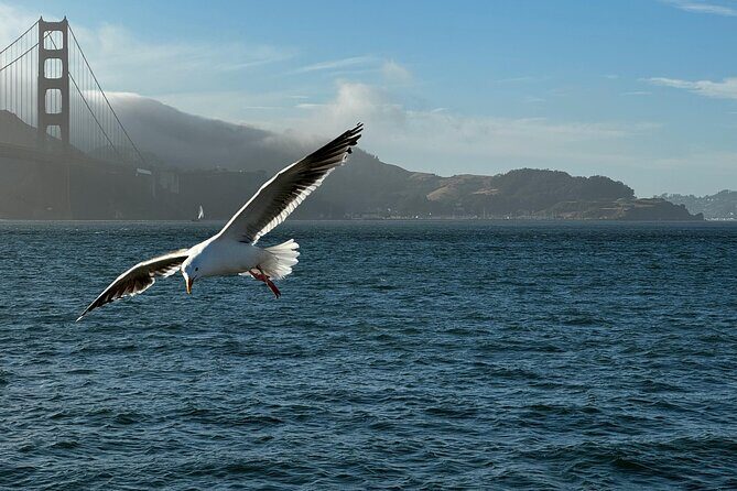 San Francisco Alcatraz, Ferry and 2 Day Hop On Hop Off Bus Tour - FAQ