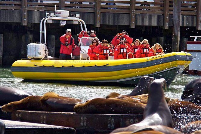 San Francisco Bay Adventure Sightseeing Cruise - Practical Tips for Your Trip