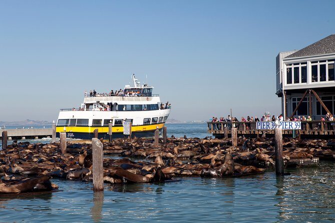 San Francisco Bay Cruise - Price, Duration, and Practicalities: Is It Worth It?