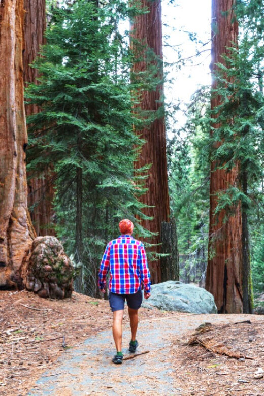 San Francisco: Bike Tour with Muir Woods and Sausalito Visit - FAQ