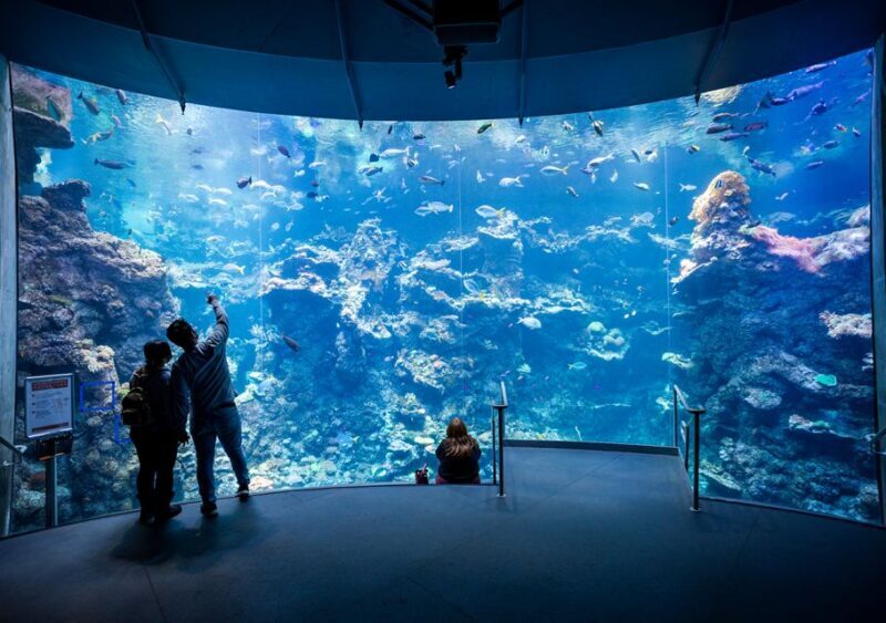 San Francisco: California Academy of Sciences Entry Ticket - What’s the Experience Like? Real Visitor Insights