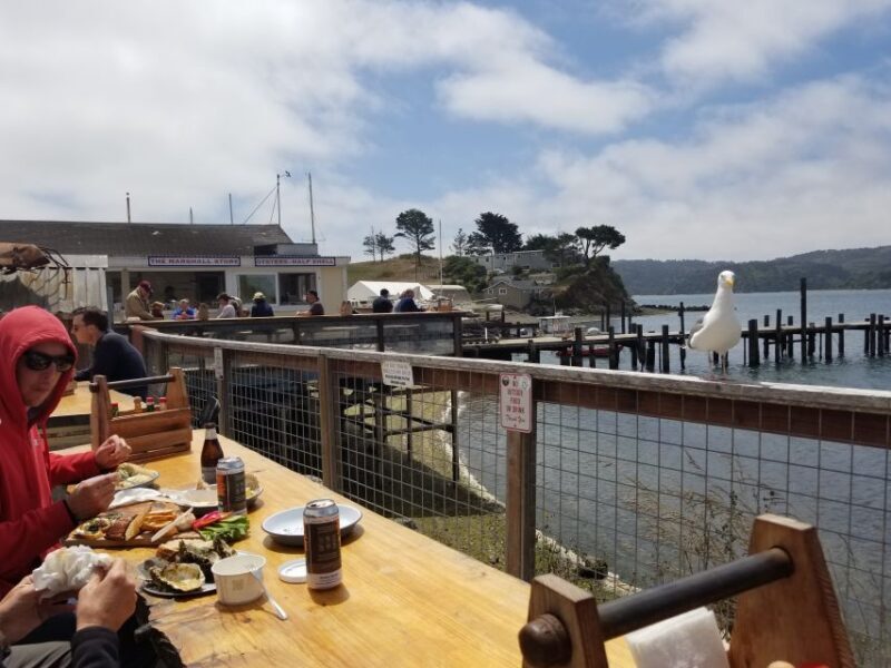 San Francisco: Cheese, Honey, Oysters & Wine Tour of Sonoma - Key Points