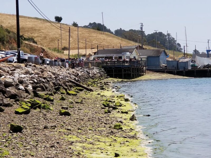 San Francisco: Cheese, Honey, Oysters & Wine Tour of Sonoma - Value and Practicality