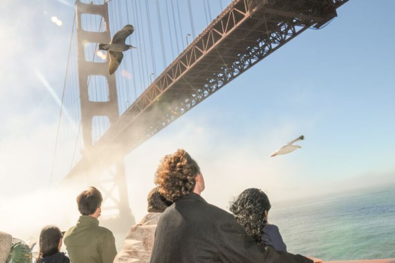 San Francisco: City Cruises Buffet Lunch or Dinner Cruise - Who Will Love This Tour?