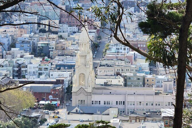 San Francisco City Small Group Morning Tour - Pricing & Overall Value