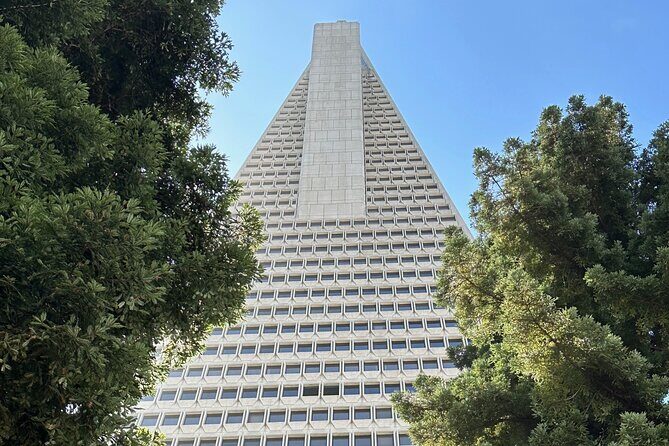 San Francisco City Tour in a Mercedes Sprinter Van - Analyzing Value and Cost