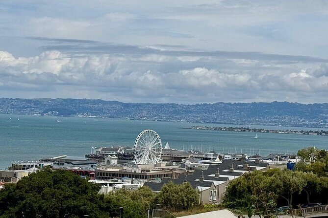 San Francisco City Tour in New EV Volkswagen Van - What It Feels Like: The Experience