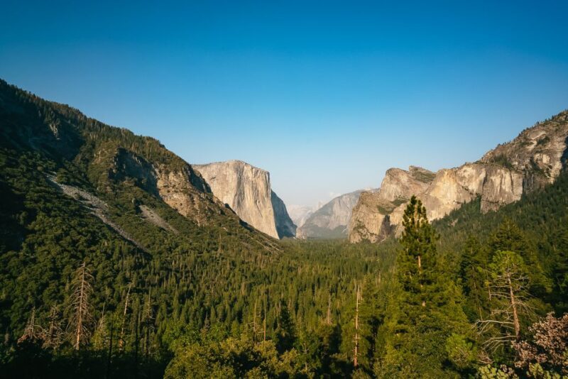 San Francisco: Day Trip to Yosemite with Giant Sequoias Hike - An Honest Look at the Yosemite Day Trip from San Francisco
