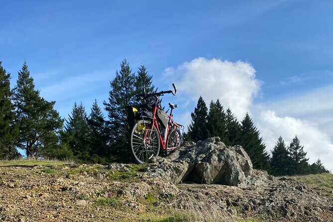 San Francisco E-bike Tour on Scenic Trails - What Makes This Tour Stand Out?