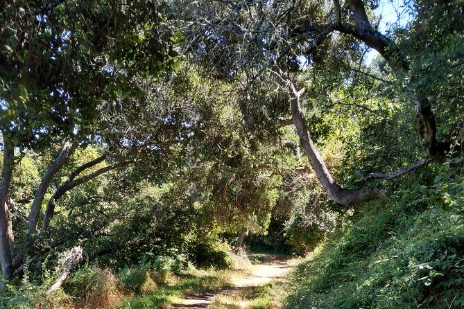 San Francisco E-bike Tour on Scenic Trails - Who Should Consider This Tour?
