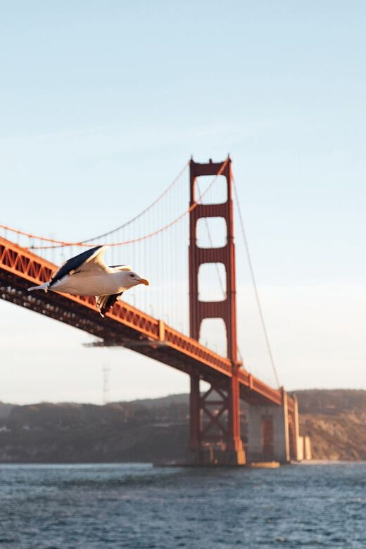San Francisco: Easter Buffet Brunch or Dinner Bay Cruise - Authenticity and Value