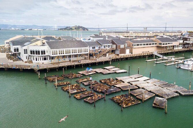 San Francisco Fisherman's Wharf Private 1-Hour Walking Tour - Practical Aspects and Considerations