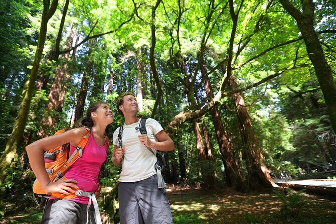 San Francisco: Full Day Coastal Redwoods & Wine Country Tour - FAQ