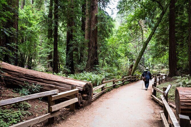 San Francisco, Golden Gate, Sausalito and Muir Woods Private Tour - An In-Depth Look at the Experience