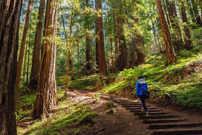 San Francisco, Golden Gate, Sausalito and Muir Woods Private Tour - Final Thoughts