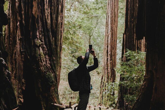 San Francisco, Golden Gate, Sausalito and Muir Woods Private Tour - Frequently Asked Questions