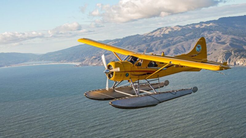 San Francisco: Greater Bay Area Seaplane Tour - An Aerial Glimpse of San Francisco and Beyond