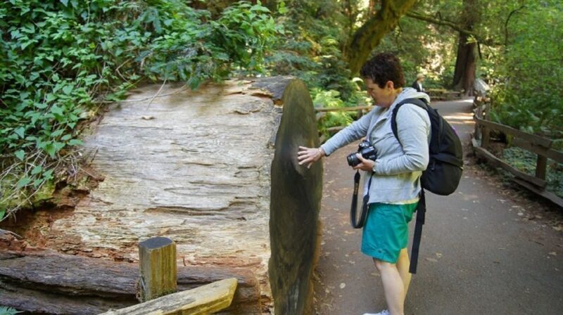 San Francisco: Guided Coastal Redwoods & Wine Country Tour - The Practicalities: What This Tour Means for Travelers