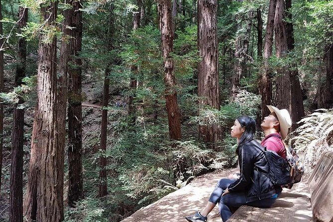 San Francisco: Guided Muir Woods Tour & Hop-on Hop-off Bus Tour - Key Points