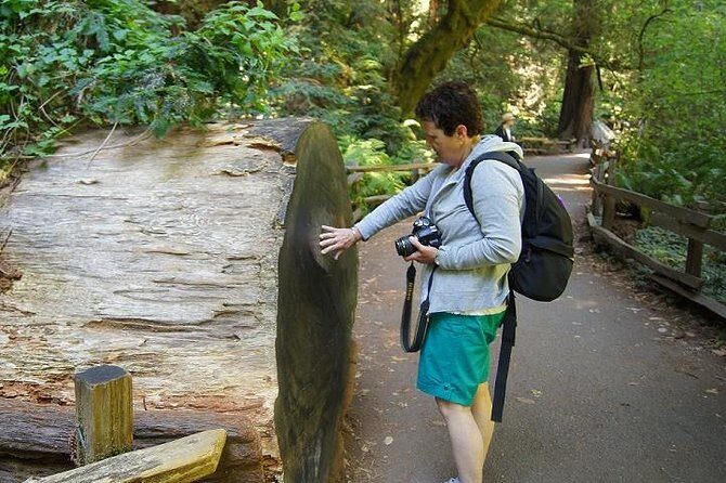 San Francisco: Guided Muir Woods Tour & Hop-on Hop-off Bus Tour - FAQs