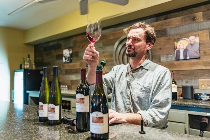 San Francisco: Half-Day Wine Country Excursion with Tastings - Authentic Insights From Reviews