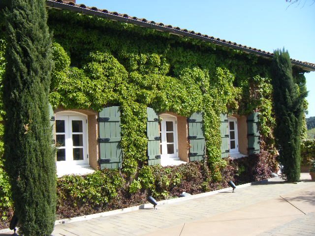 San Francisco: Half-Day Wine Country Tour with Wine Tastings - A Practical Look at the Tour Experience