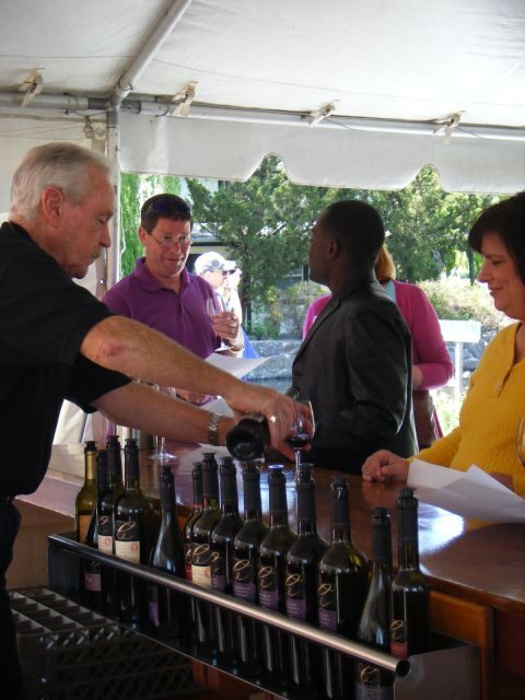 San Francisco: Half-Day Wine Country Tour with Wine Tastings - The Guide and Group Atmosphere