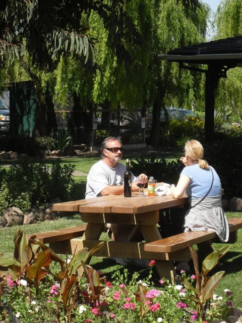 San Francisco: Half Day Wine Tour & Hop-On Hop-Off City Tour - An In-Depth Look at the Experience