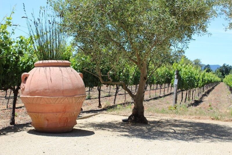 San Francisco: Half Day Wine Tour & Hop-On Hop-Off City Tour - Final thoughts