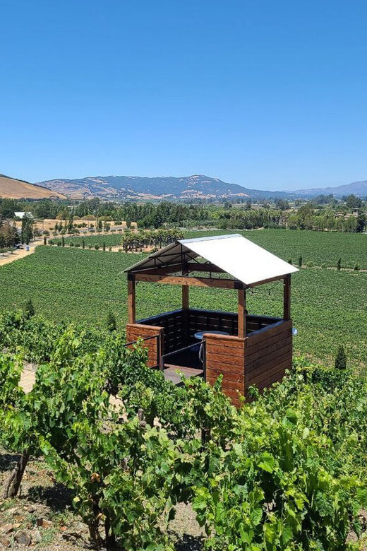 San Francisco: Half-Day Wine Tour with 2 Tastings Included - Practical Details and Tips