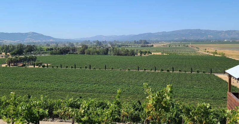 San Francisco: Half-Day Wine Tour with 2 Tastings Included - The Itinerary: What You Can Expect