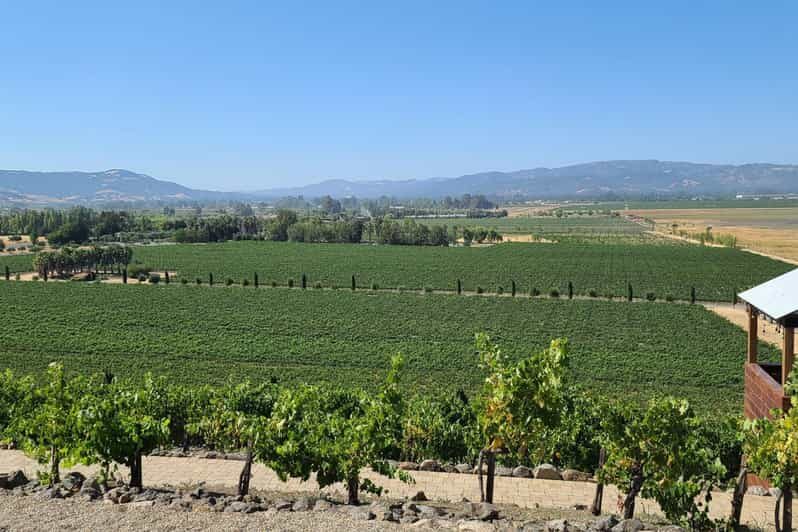 San Francisco: Half-Day Wine Tour with 2 Tastings Included - Who Is This Tour Best For?