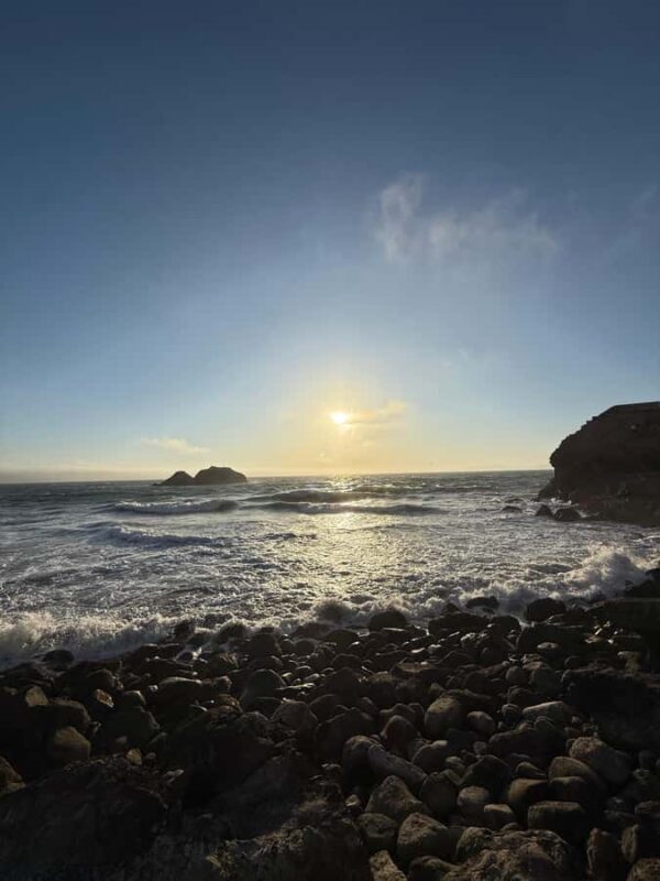 San Francisco: Hidden Stairways & Scenic Views Walking Tour - Key Points