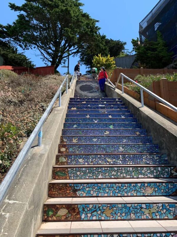 San Francisco: Hidden Stairways & Scenic Views Walking Tour - Who Will Love This Tour?