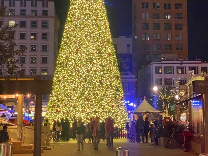 San Francisco: Holiday Lights Private Group Jeep Tour - The Sum Up
