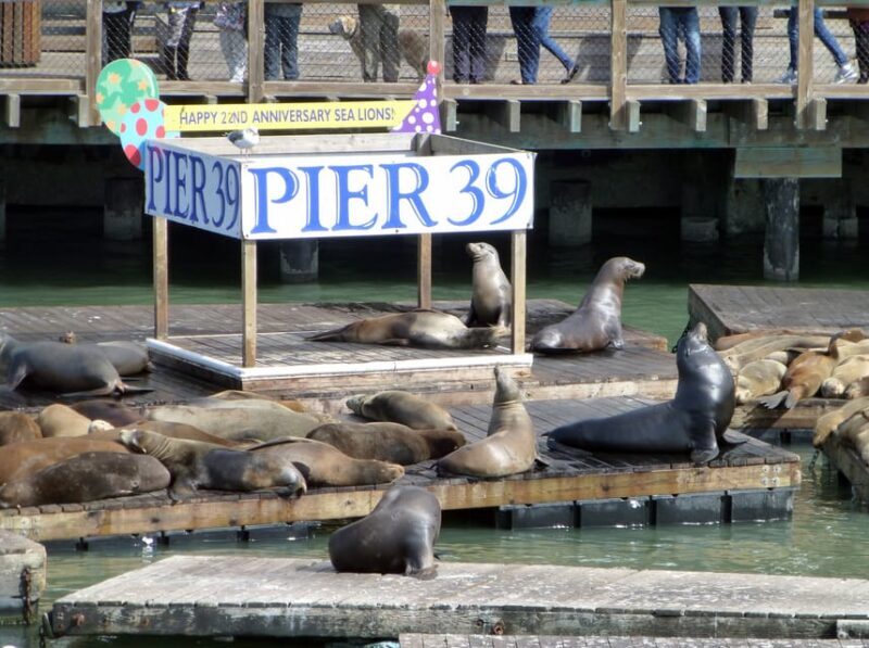 San Francisco: Hop-On Hop-Off City Bus Tour and Bay Cruise - Who Will Love This Experience?