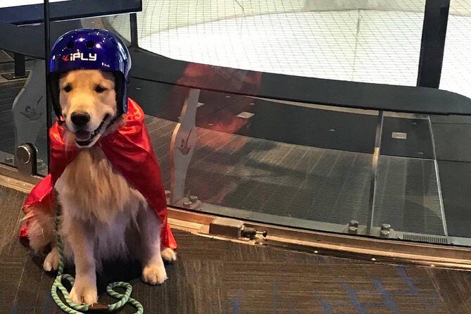 San Francisco Indoor Skydiving with 2 Flights & Personalized Certificate - FAQ