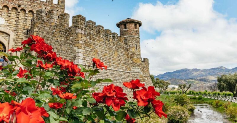 San Francisco: Luxury Small-Group Wine Tour of Napa Valley - A Deep Dive into the Napa Valley Experience