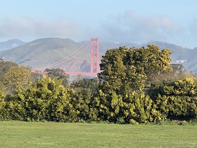 San Francisco: Major Landmarks Private Sightseeing Tour - Departure Flexibility