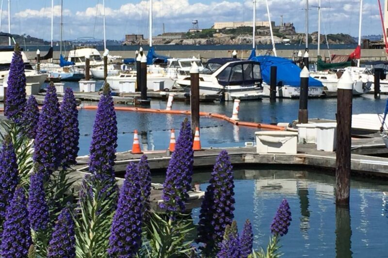 San Francisco: Major Landmarks Private Sightseeing Tour - Transportation and Comfort